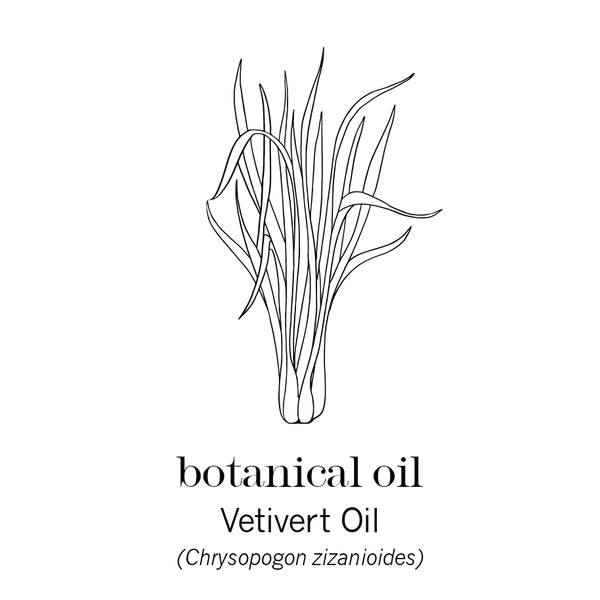 deep sleep body cocoon | Body Moisturiser | This Works – This Works (US)